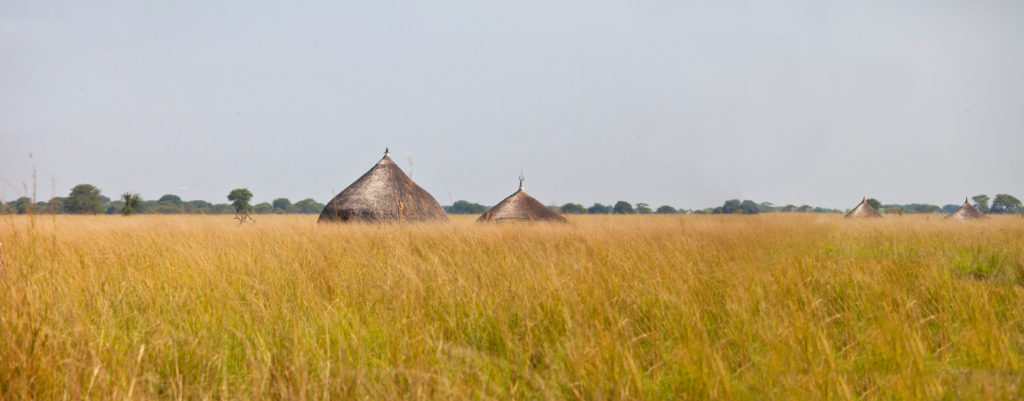 From Mud Hut to Safe Haven: Building a Home with BUYONE BUILDONE and ...